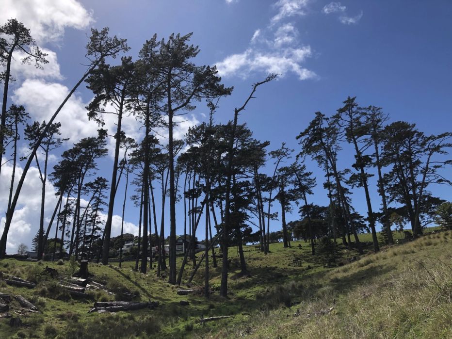 climate change adaptation