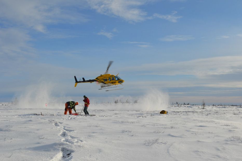 GRI 101 and the Future of Biodiversity Reporting: Key Changes & Why it ...