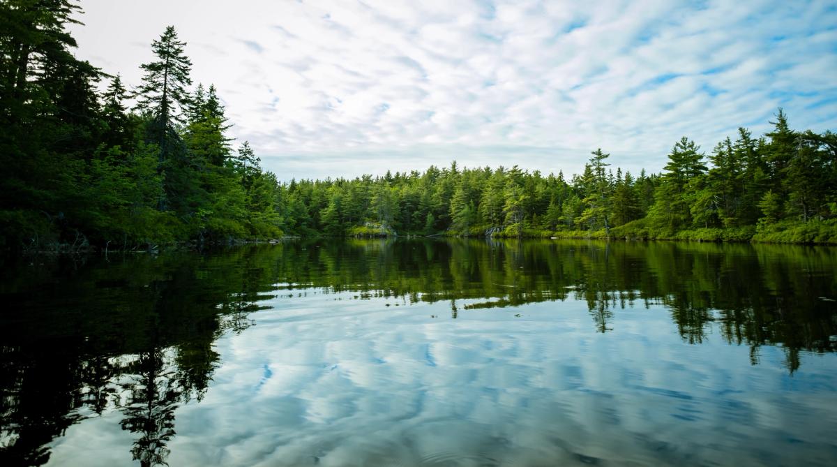 Achieving nature recovering through biodiversity and ecosystems