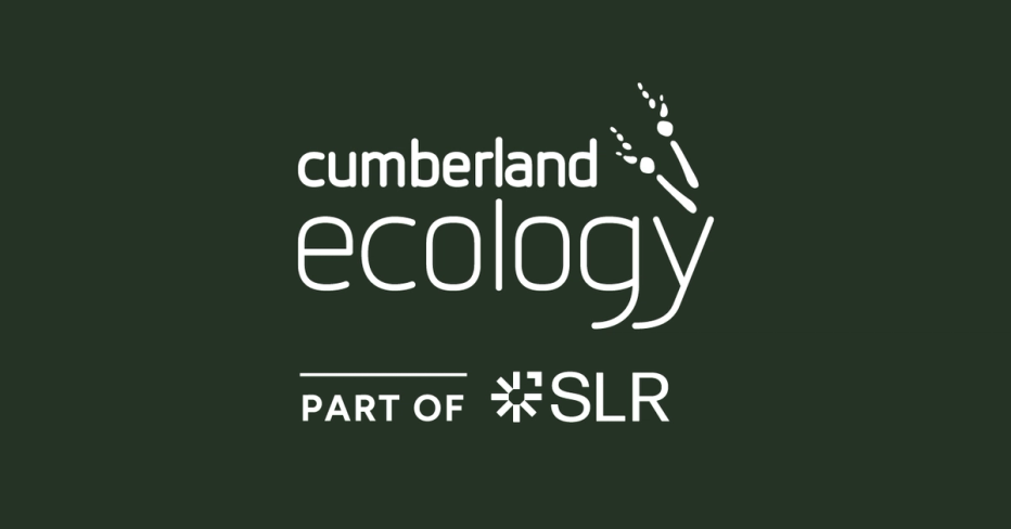 SLR acquires Vectos | SLR Consulting