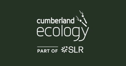 Flood control plan for Meriden Green