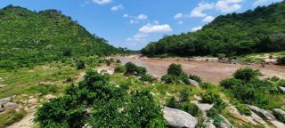 Yanco Delta Wind Farm community and stakeholder engagement