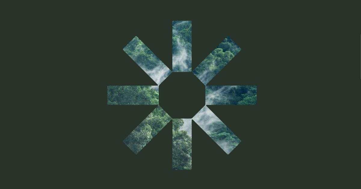 Introducing SLR's new brand