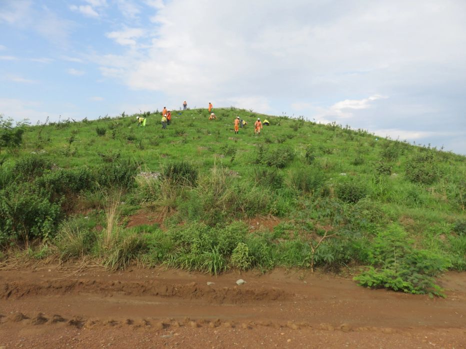 Content Hub | SLR Consulting