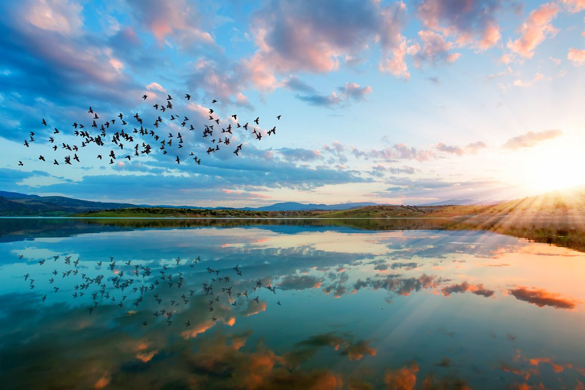 Nature Positive: shifting behaviours and actions
