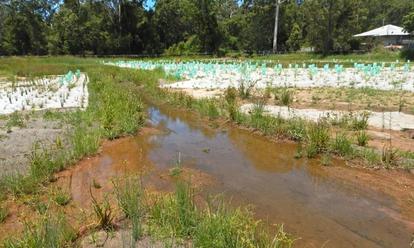 ‘Dust Stop’ pollution reduction programme