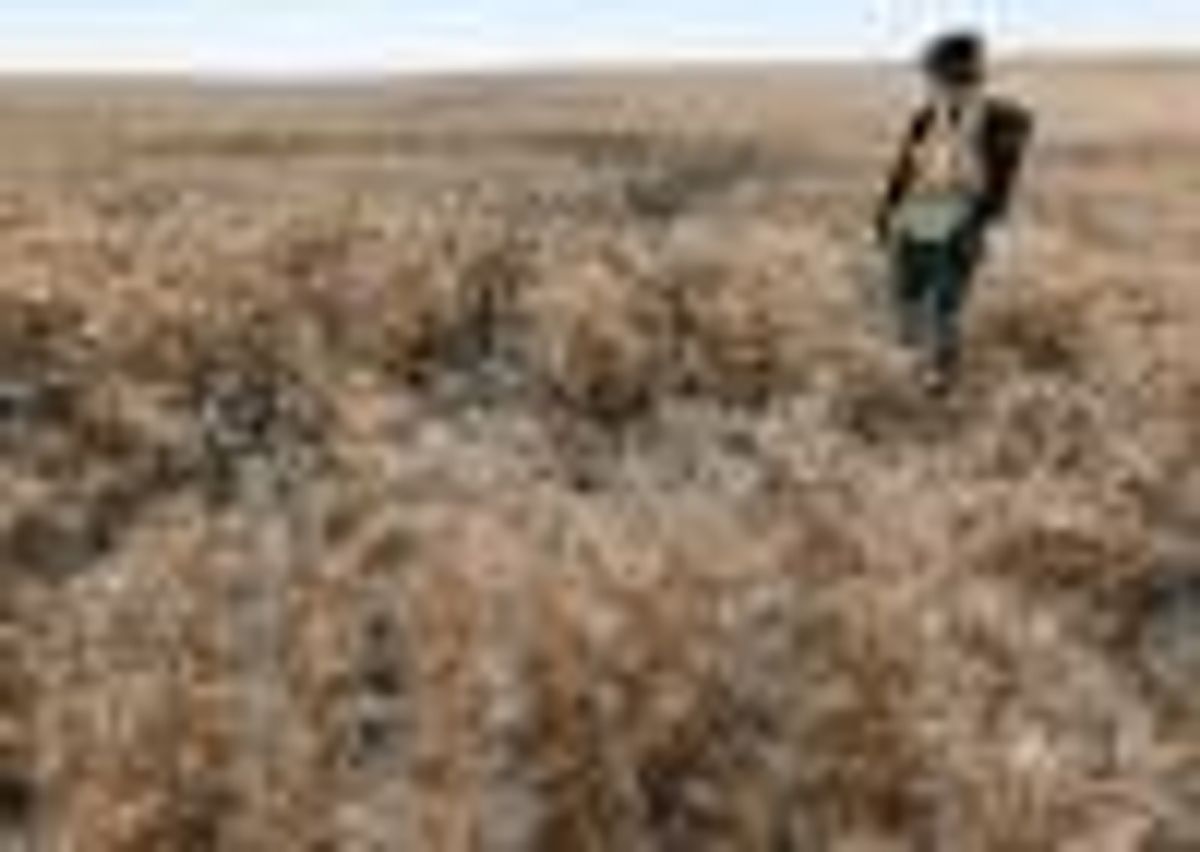 Detailed Site Assessments, Phase 2 ESAs to assess former production ...