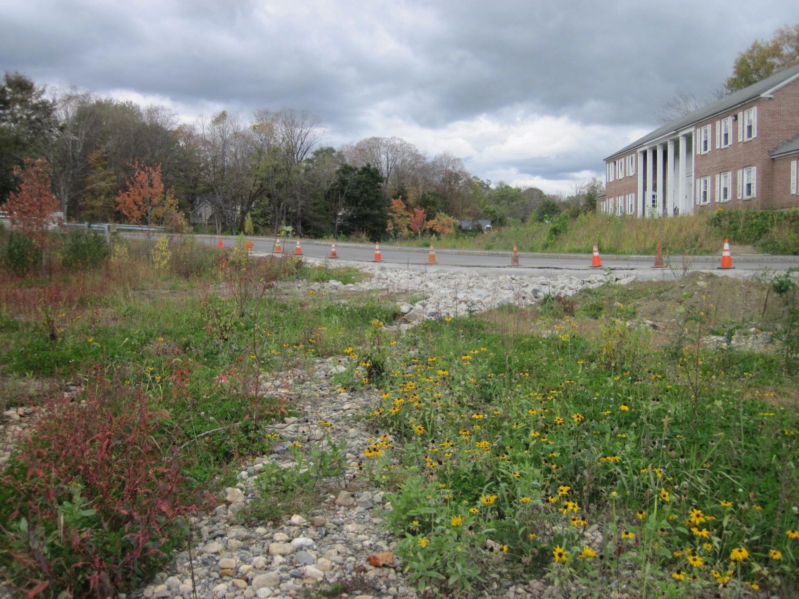 Melrose Terrace floodplain restoration
