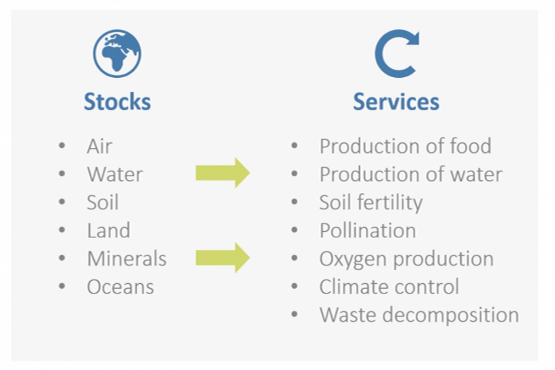 How nature and natural capital are driving environmental decisions for ...