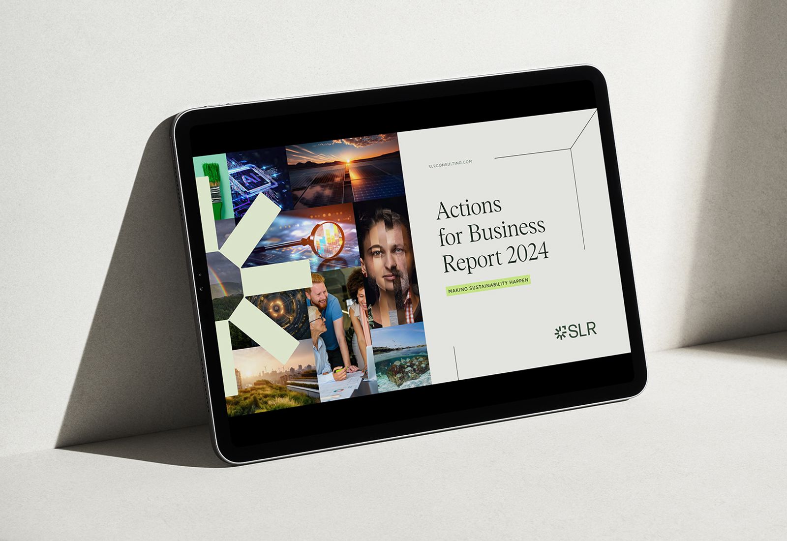 Regulation, Regulation, Regulation | SLR Consulting