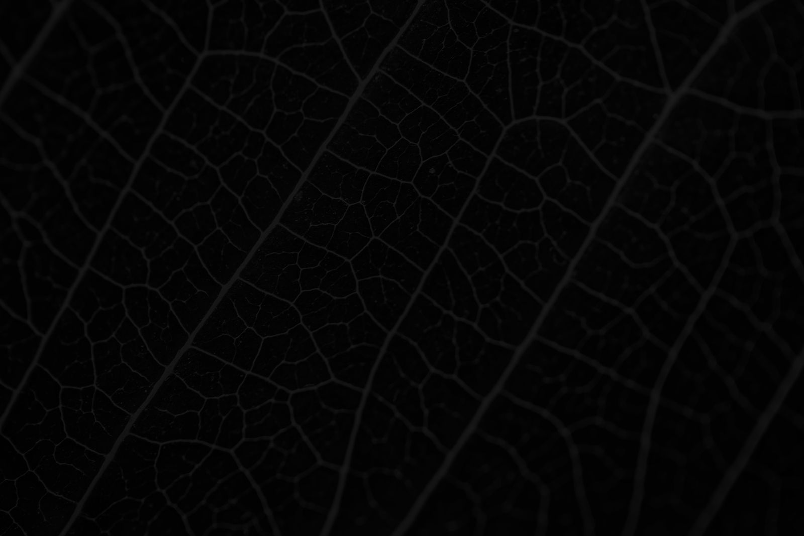 Acoustics & Vibration | SLR Consulting