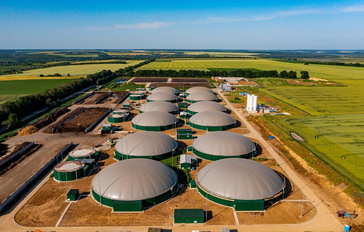 Biogenic CO2 sequestration: Bioenergy with carbon capture and storage