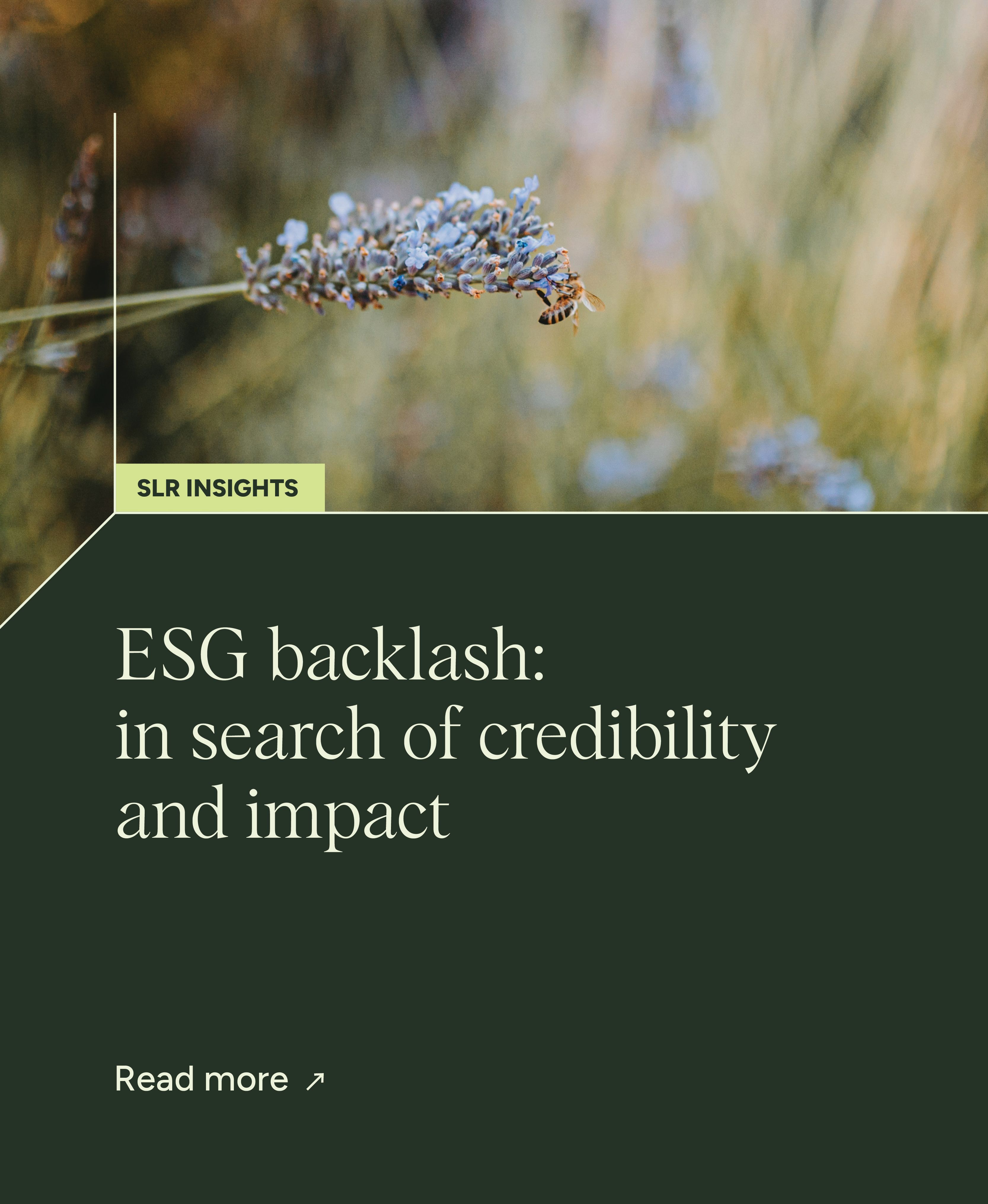 ESG backlash: in search of credibility and impact
