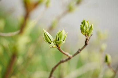 Building our Social Risk Management services | SLR Consulting