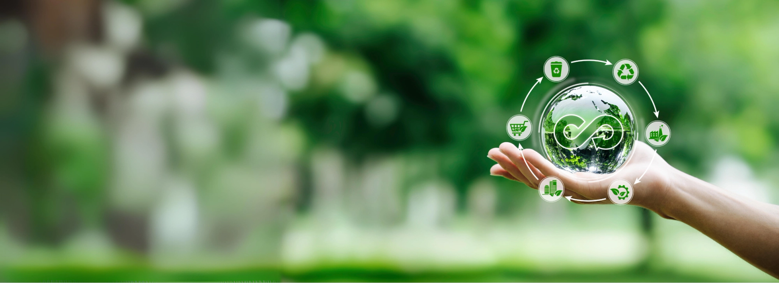 Sustainable Waste Management | SLR Consulting