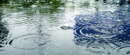 CDP 2024 Timeline: Essential milestones and what these mean for you