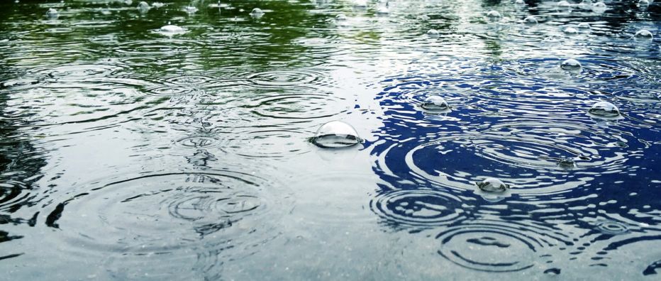 CDP 2024 Timeline: Essential milestones and what these mean for you