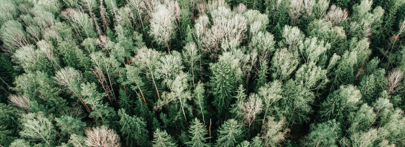 Environmental & Social Impact Assessment | SLR Consulting