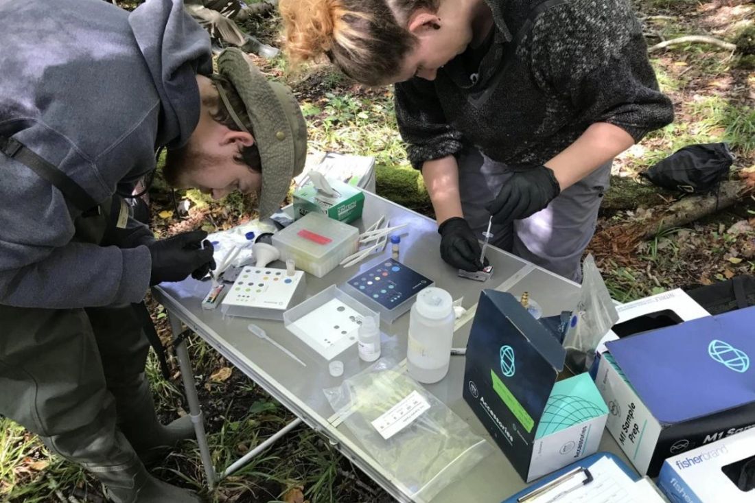 The Power of Environmental DNA | SLR Consulting