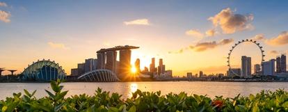 CDP 2024 Timeline: Essential milestones and what these mean for you