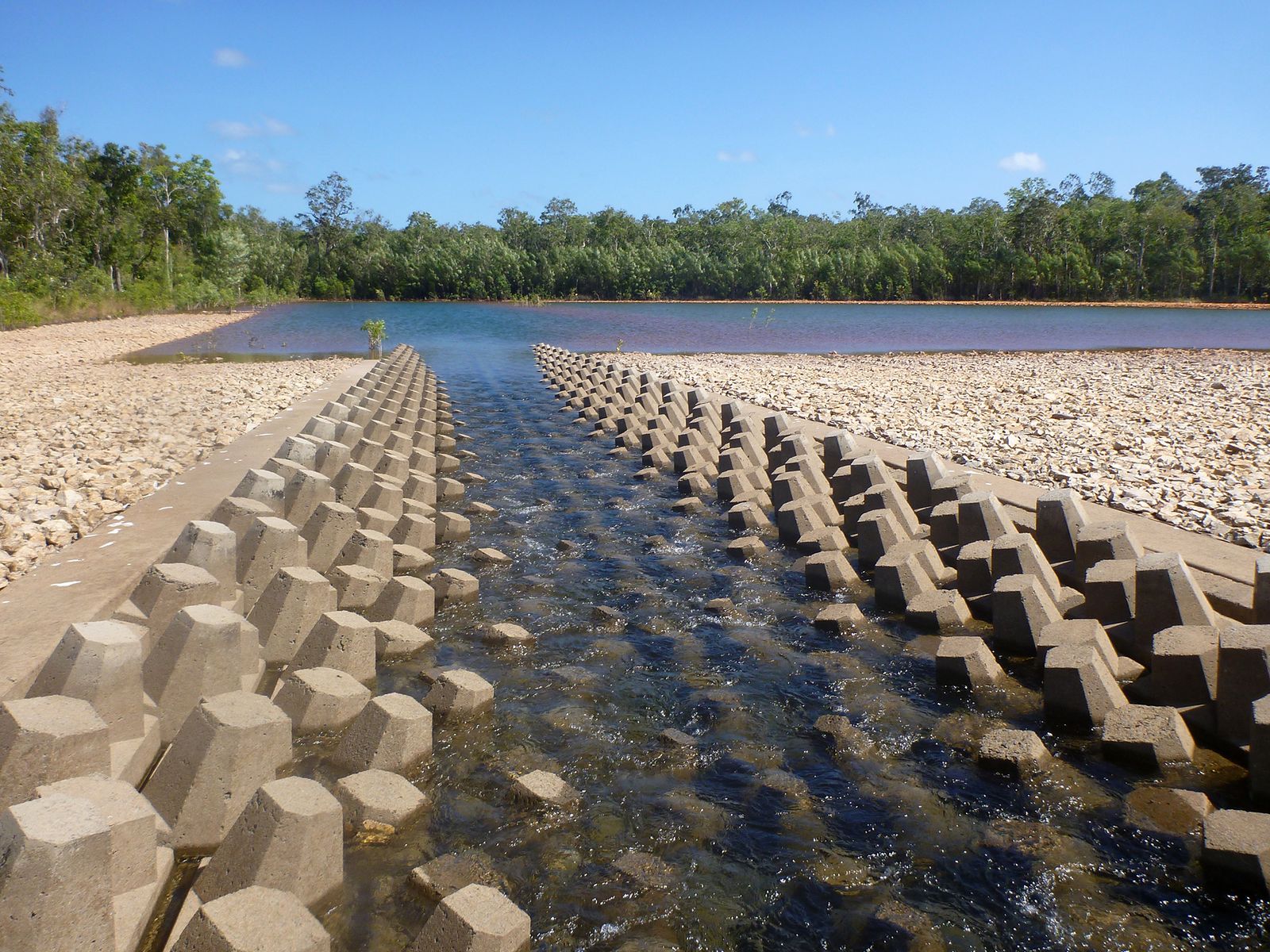 Waterway Barrier Works: Minimising impact to fisheries resources and ...
