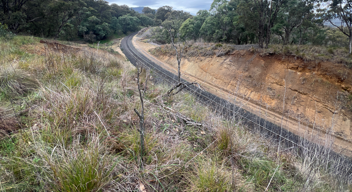 Ecological assessment for the Ardglen Railway Widening Project