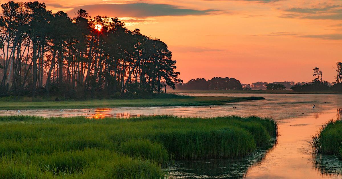 Your Guide To The Perfect Long Weekend in Chincoteague, VA | The 100 ...