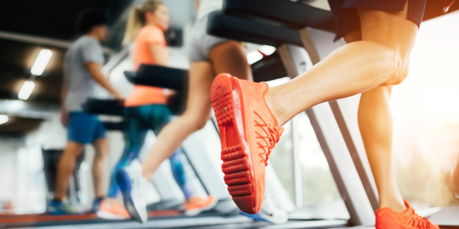 Momentum Multiply | Wellness at your fingertips