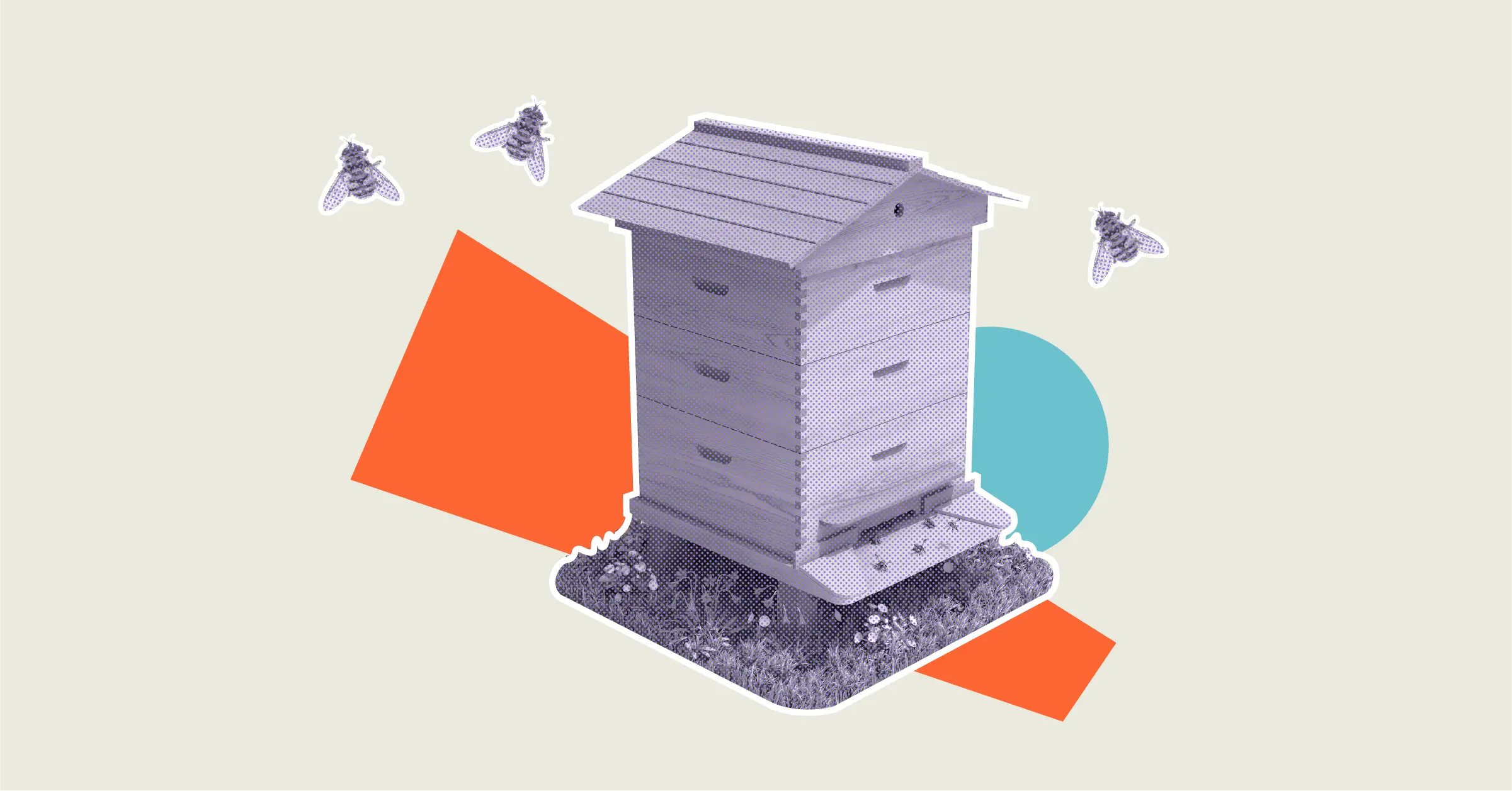 What is institutional memory? Definition, types, examples