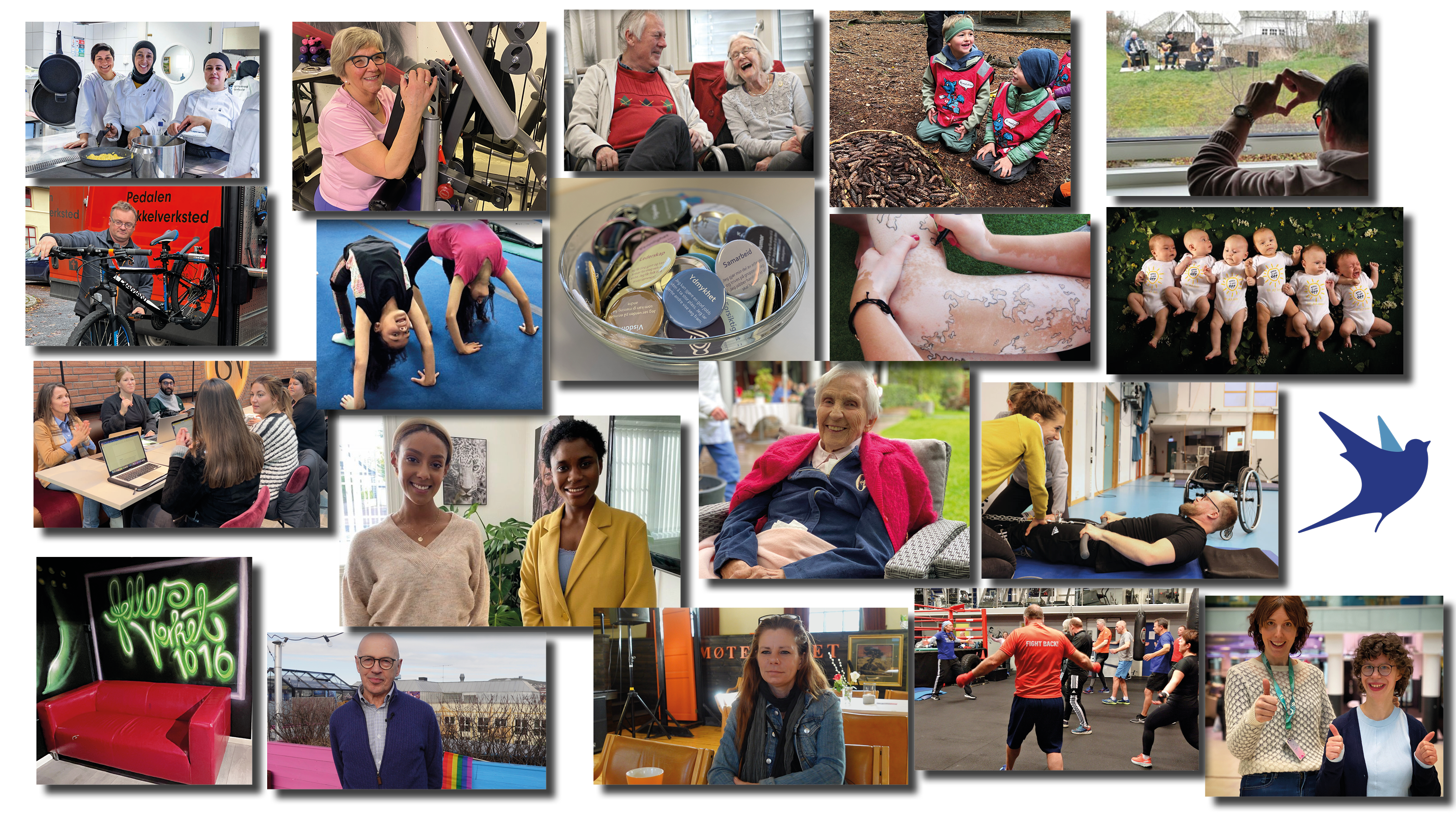 I dag er Stiftelsen Dam 30 år