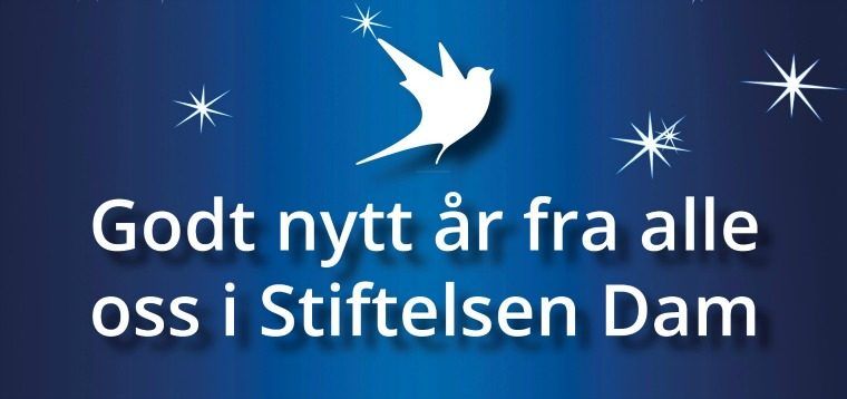 Slik var 2019 i Stiftelsen Dam