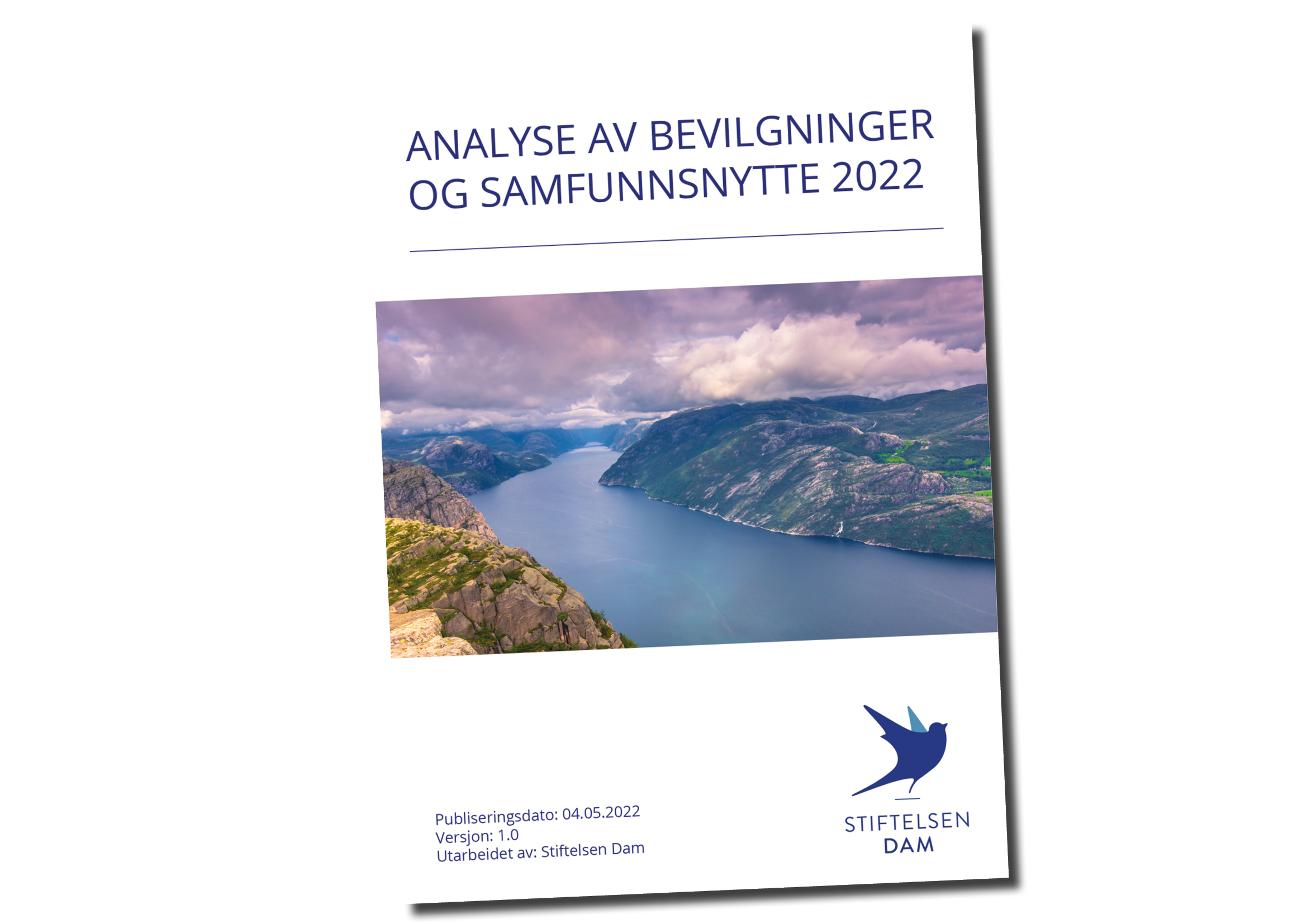 Gir verdifull innsikt i hvordan Stiftelsen Dam bidrar