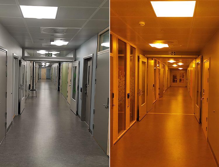 Utvikling av et terapeutisk sykehusbygg | Stiftelsen Dam