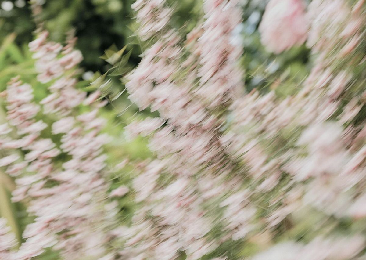 Cafe Linea – Restaurant, Bar and Bakery