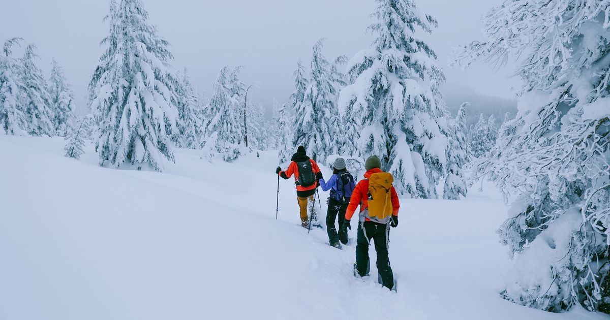 Walking in a Winter Wonderland | Visit Reno Tahoe