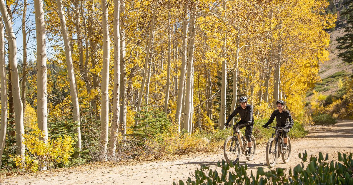 Finding the Best Fall Colors in Reno Tahoe | Visit Reno Tahoe