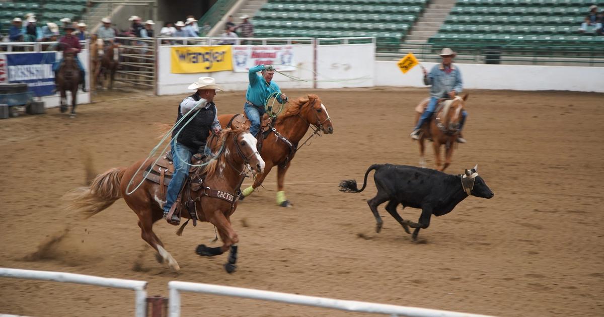 ACTRA Wrangler/Professional's Choice National Finals | Oct 18-25 | Reno ...