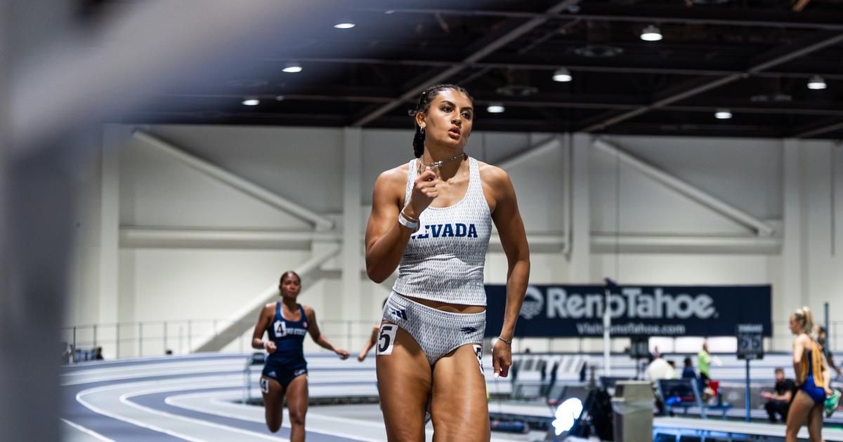 wolf pack performance flex up