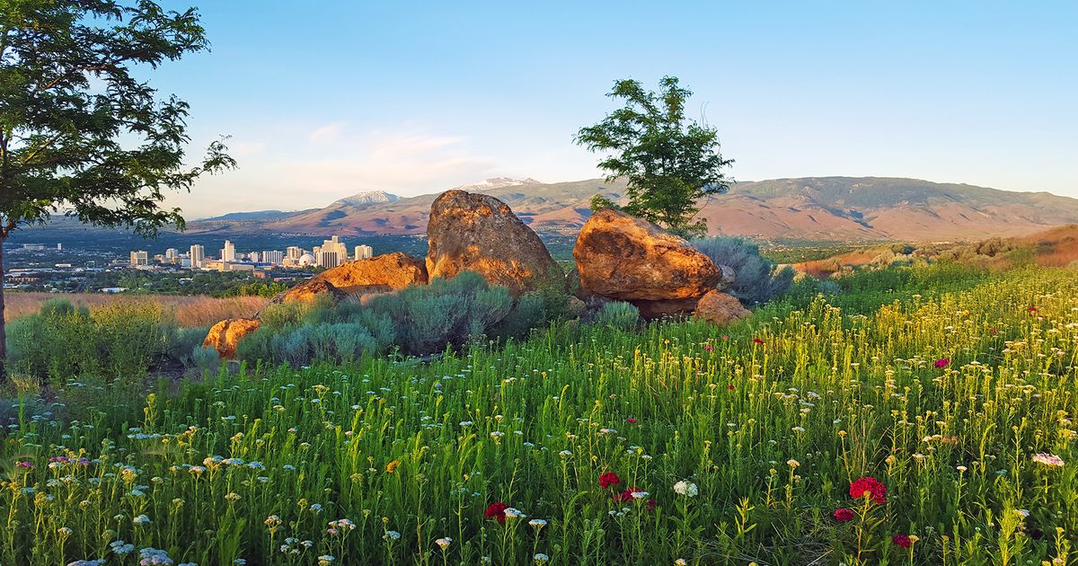 Media | Visit Reno Tahoe