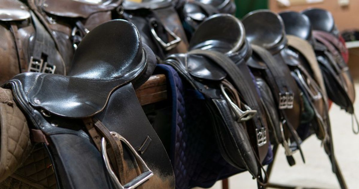 4-H Tack Sale | Nov 2 | Reno-Sparks Livestock Events Center