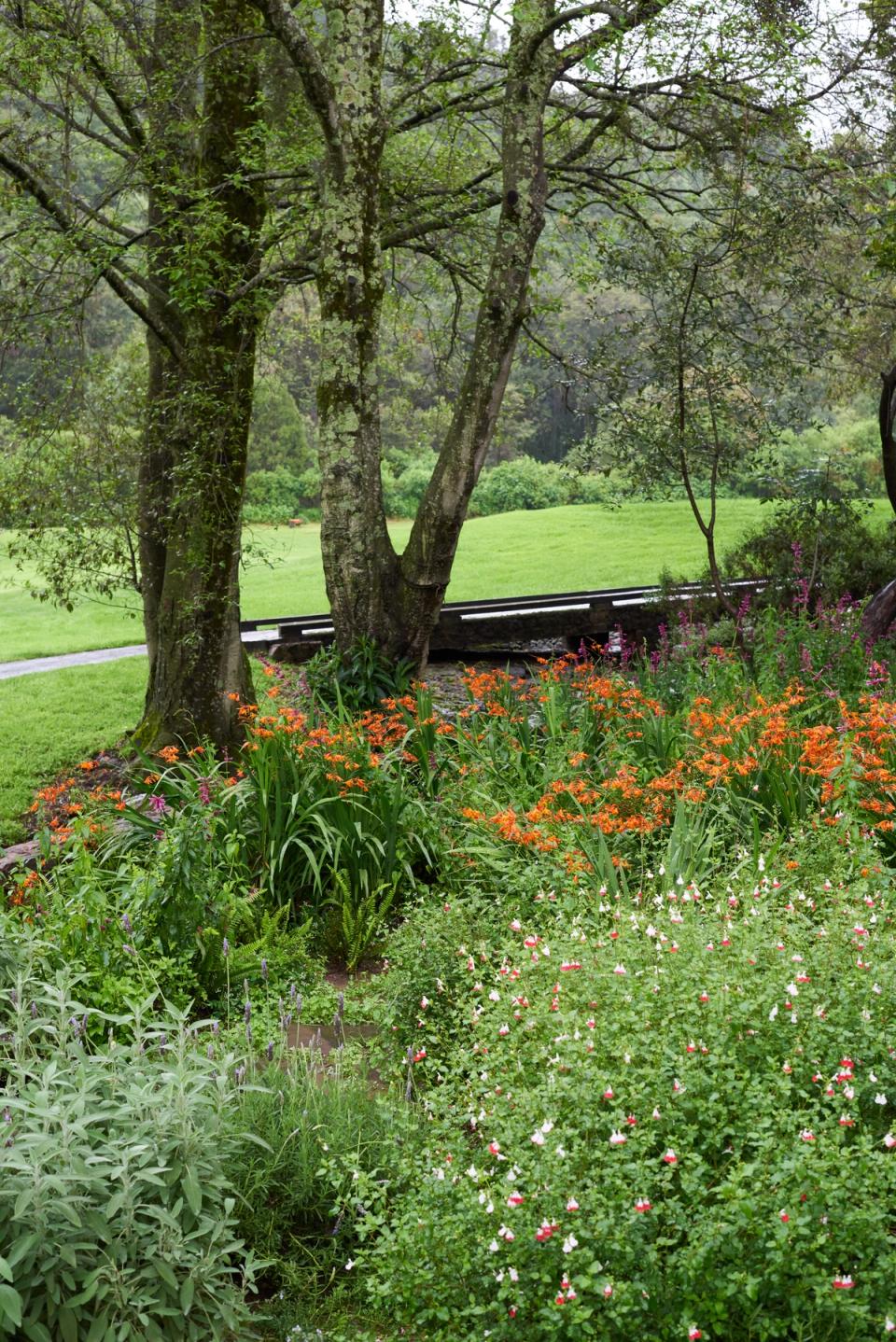 Malinalli Garden by Estudio Ome