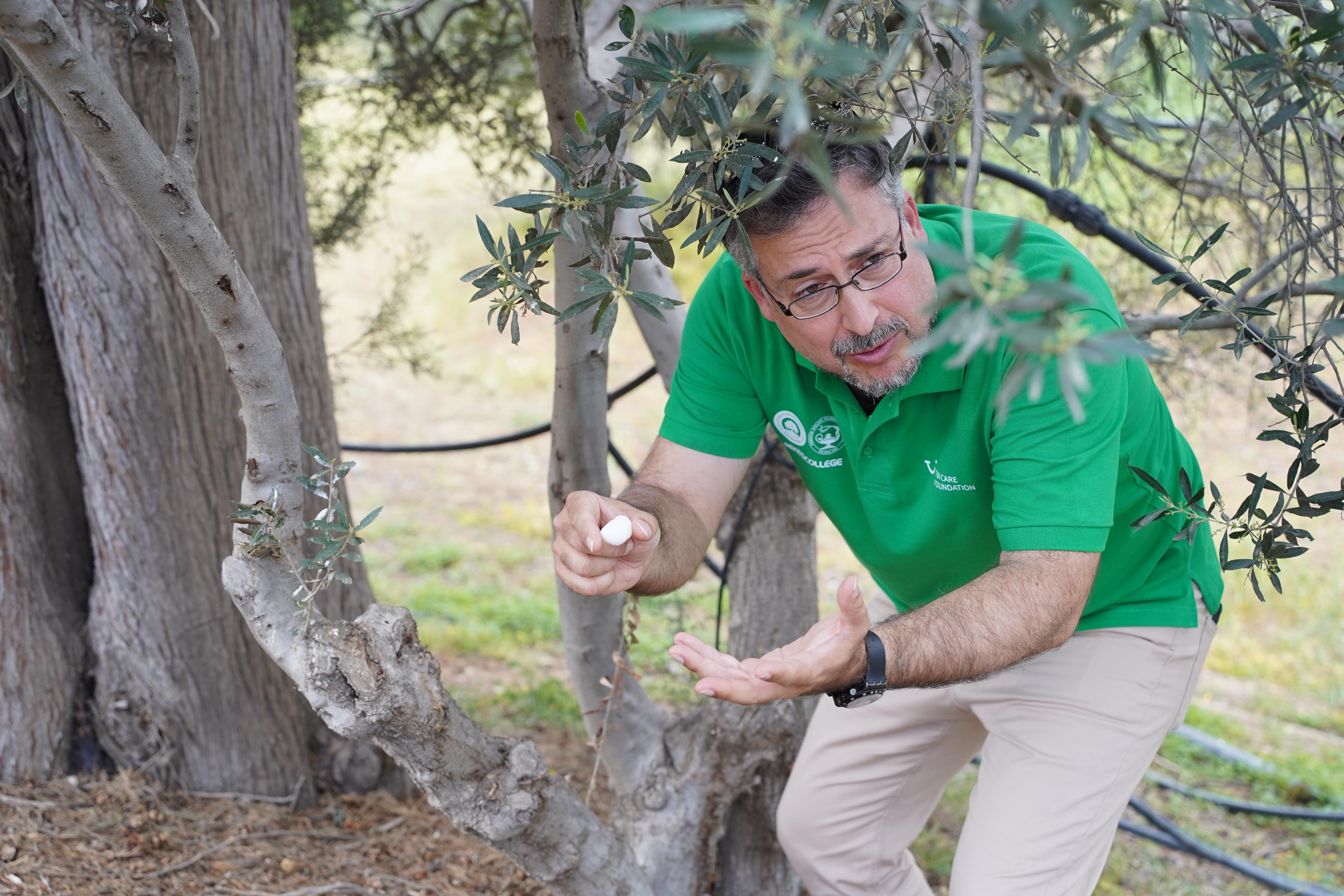 Creating thriving food systems in the Mediterranean: TUI Care ...