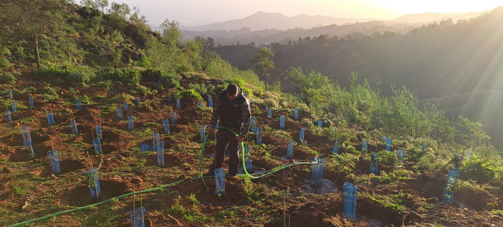 Driving nature-based tourism: TUI Care Foundation expands TUI Forest ...