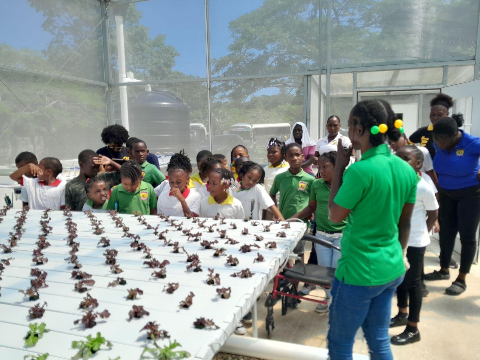 Children becoming ambassadors for a green Jamaica and Turkey ...