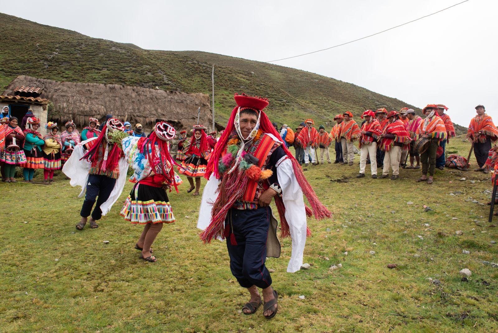 1.9 million new trees for the Andes: TUI Care Foundation empowers ...