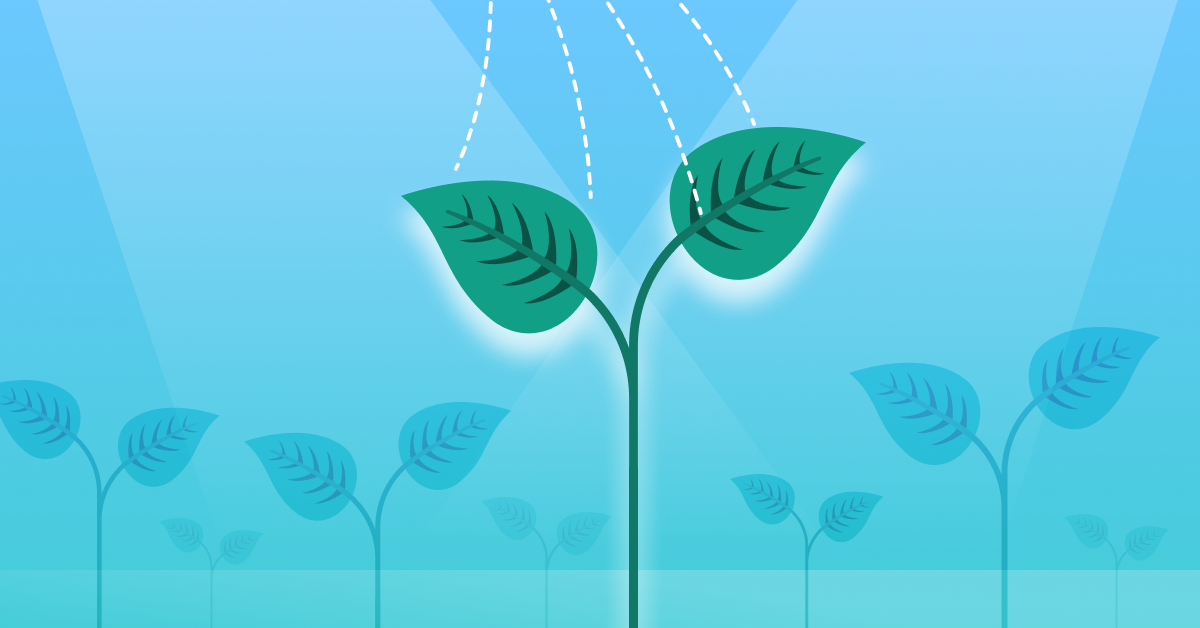 The Ultimate Guide to Growth Marketing