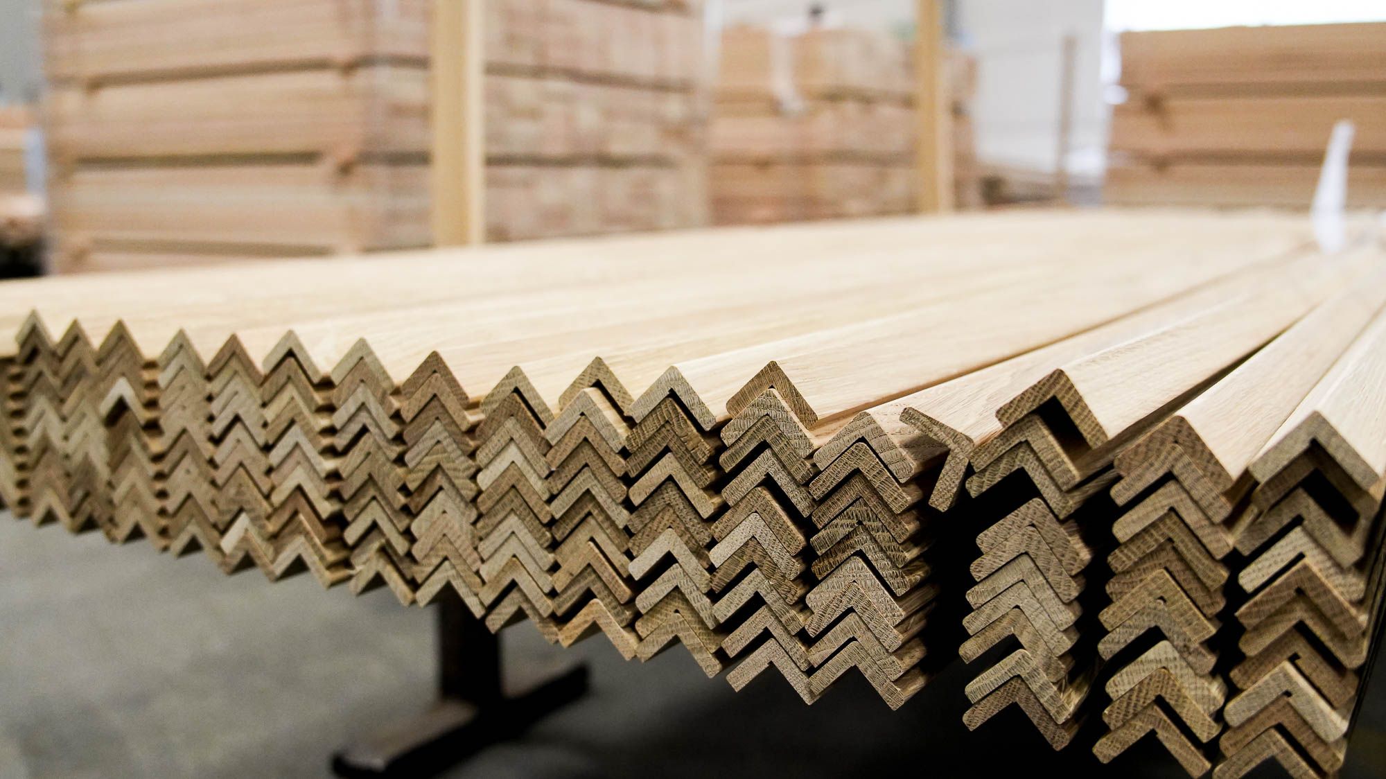 Golden EDI | EHL Prolist | Success Story - Golden EDI