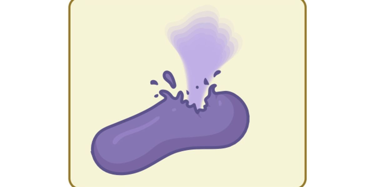 Better understanding the defence system of bacteria to better attack them