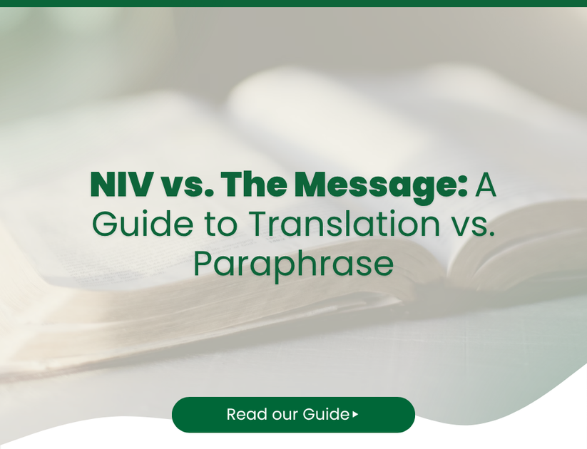 NIV vs. The Message: Is it a "Real" Translation? (plus a Comparison ...