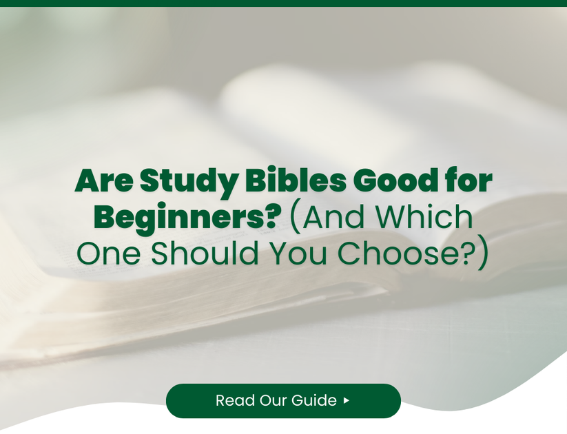 The Best Study Bibles for Beginners (2026): Easy-to-Read & Easy to ...